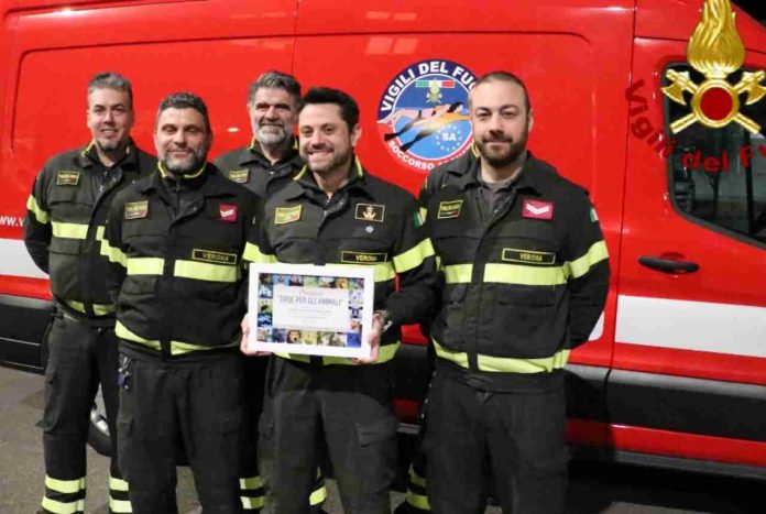 Eroi per gli Animali: i Vigili del Fuoco di Verona premiati da PETA