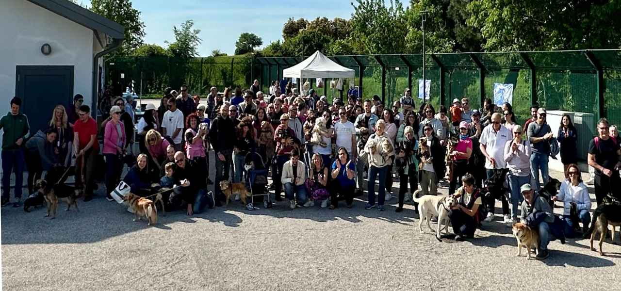 Parco San Giuliano: successo per la 3a edizione di "A 6 Zampe nel Parco"