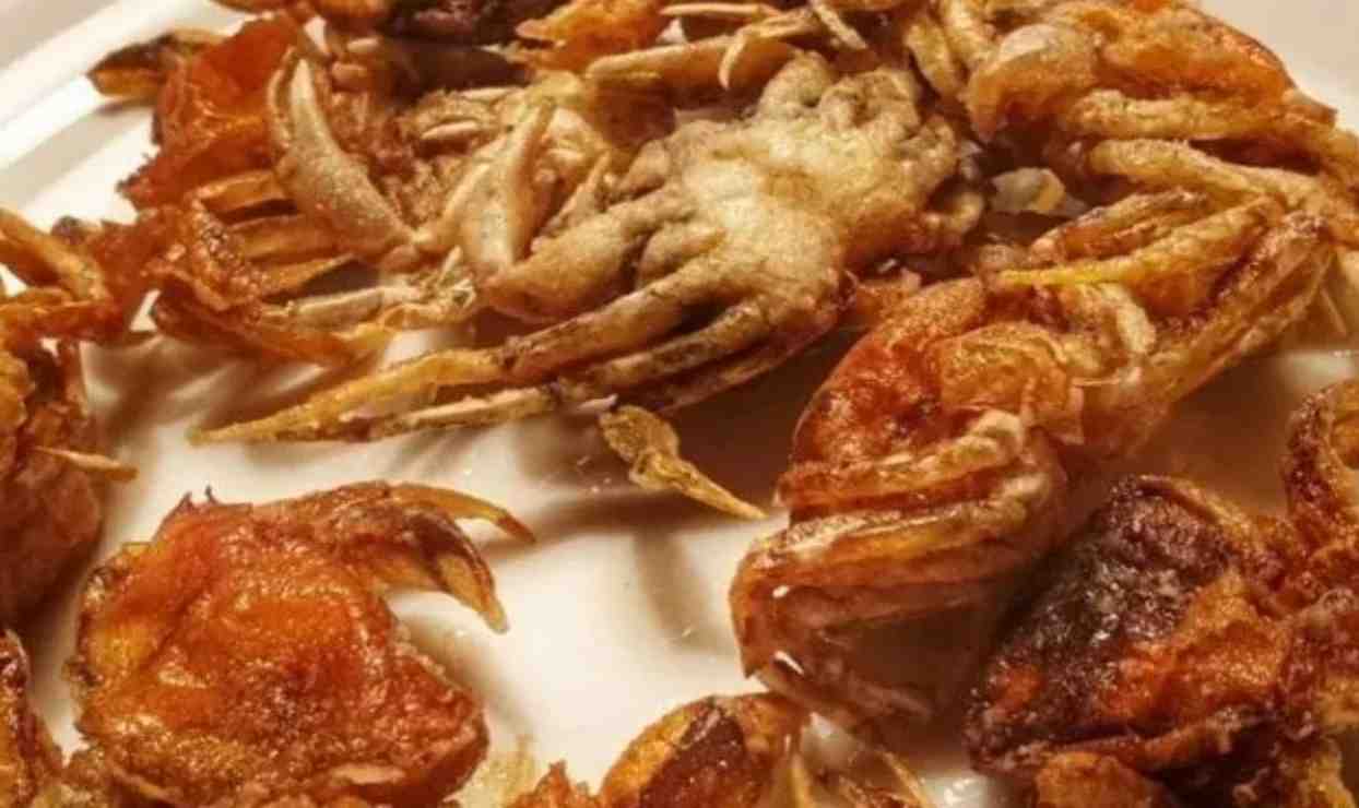 A Venezia sono scomparse le 'moeche'