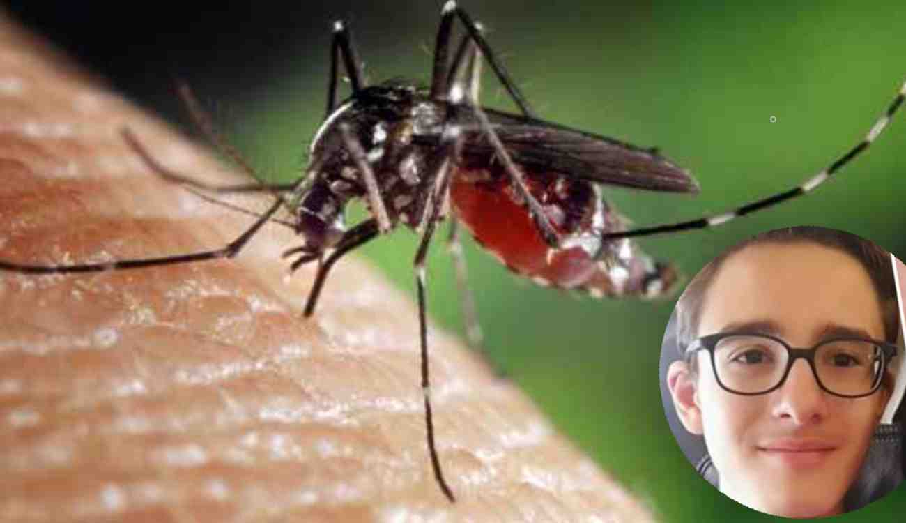 Punto da un insetto, muore a 14 anni