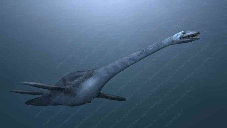 Scoperta nuova specie di gigantesco rettile marino