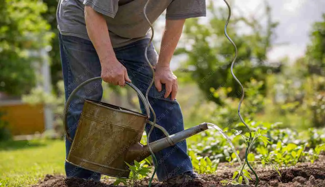 La scienza non è la “Verità”. A cura del Dott. Angelo Mercuri