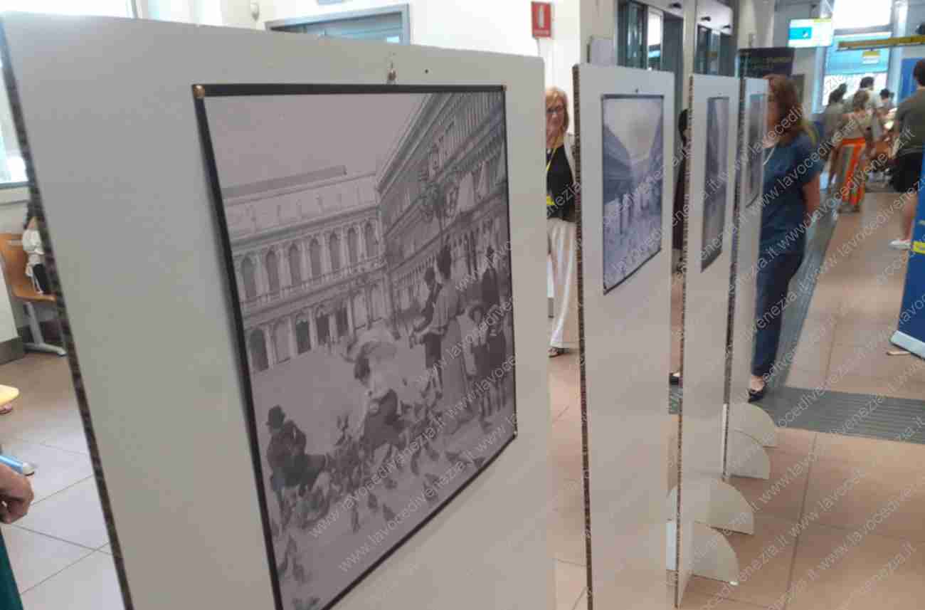 "Spesso ci azzeccano", i pareri degli "esperti" alle mostre di quadri ...